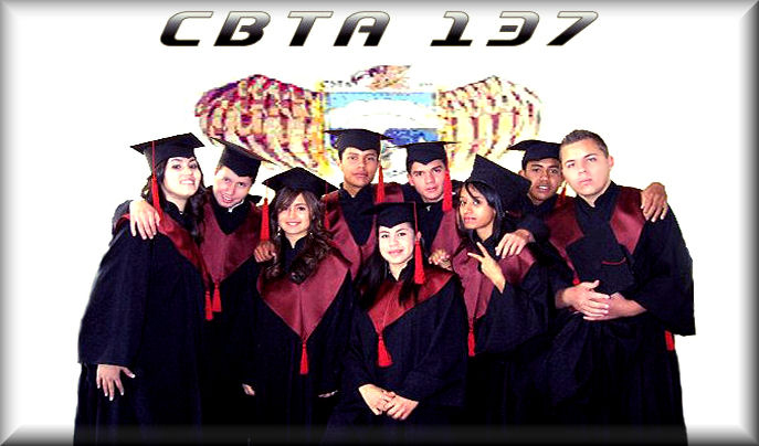 CBTA 137